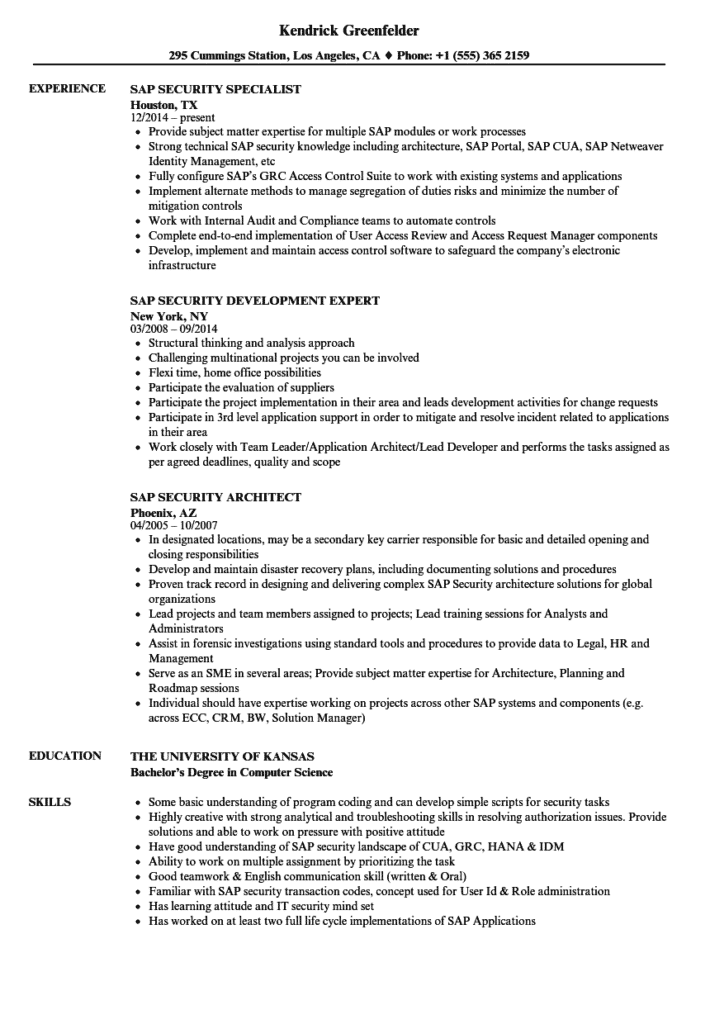 SAP Security Job Responsibilities – Job Responsibilities